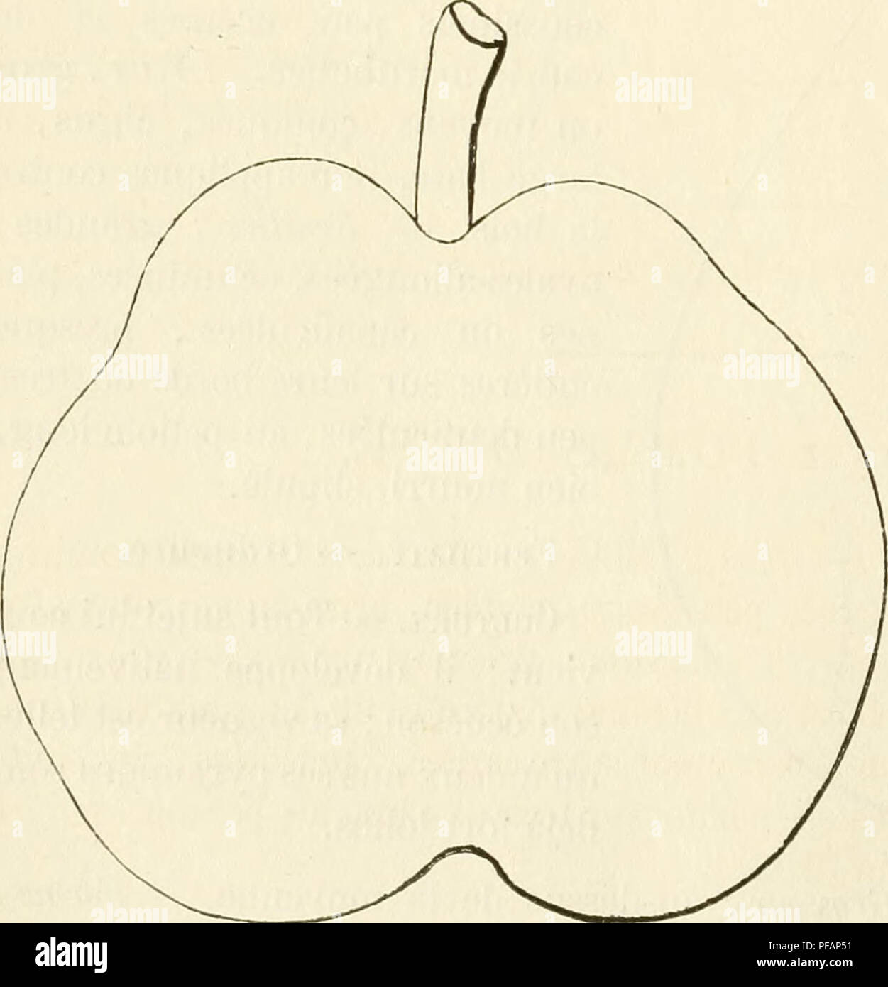 This French pomology dictionary describes and illustrates common ...