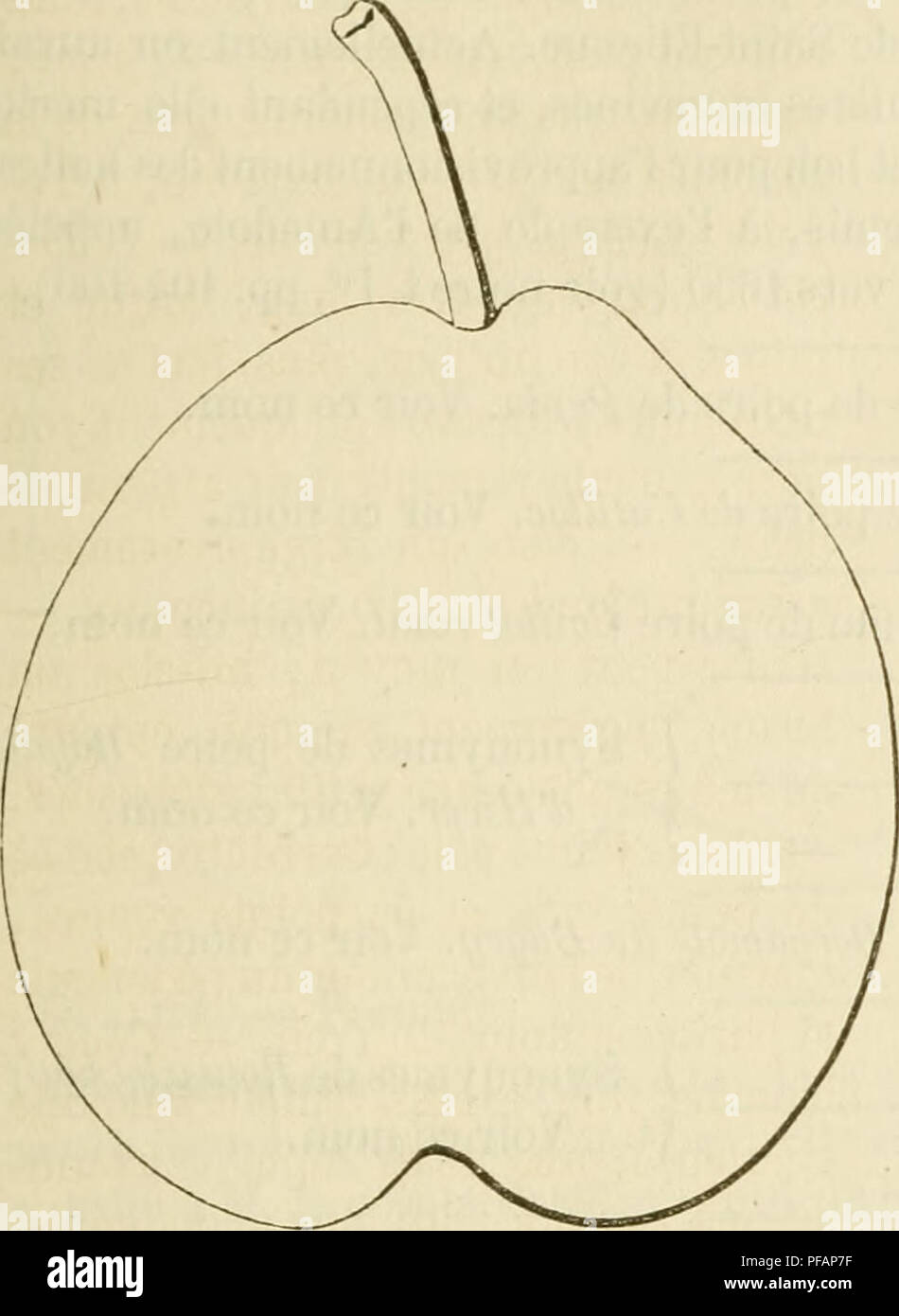 This dictionary provides the history, descriptions, and illustrations ...