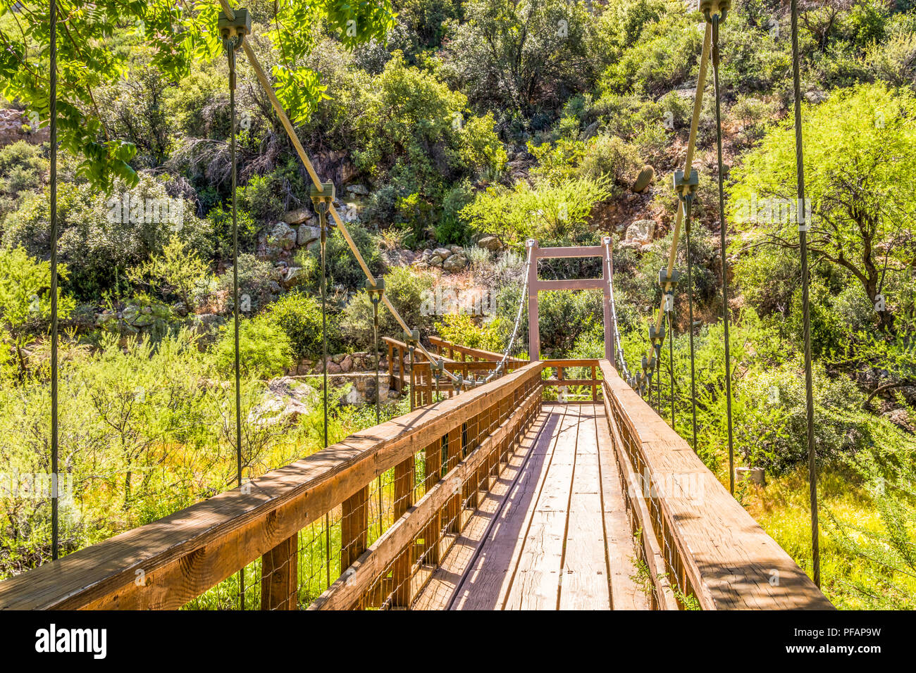 Foot path view hi-res stock photography and images - Alamy