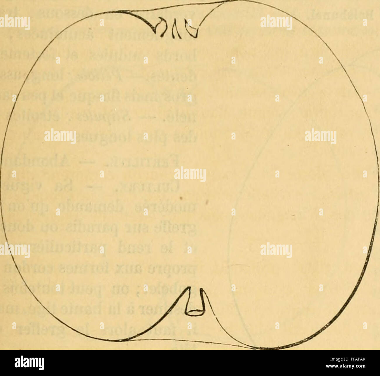 This dictionary of pomology provides historical and descriptive ...