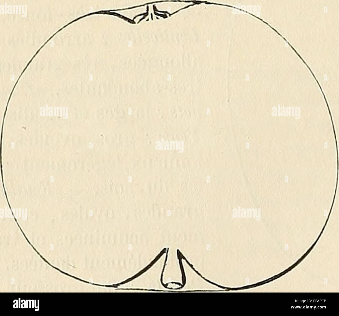 This dictionary of pomology provides detailed descriptions and ...