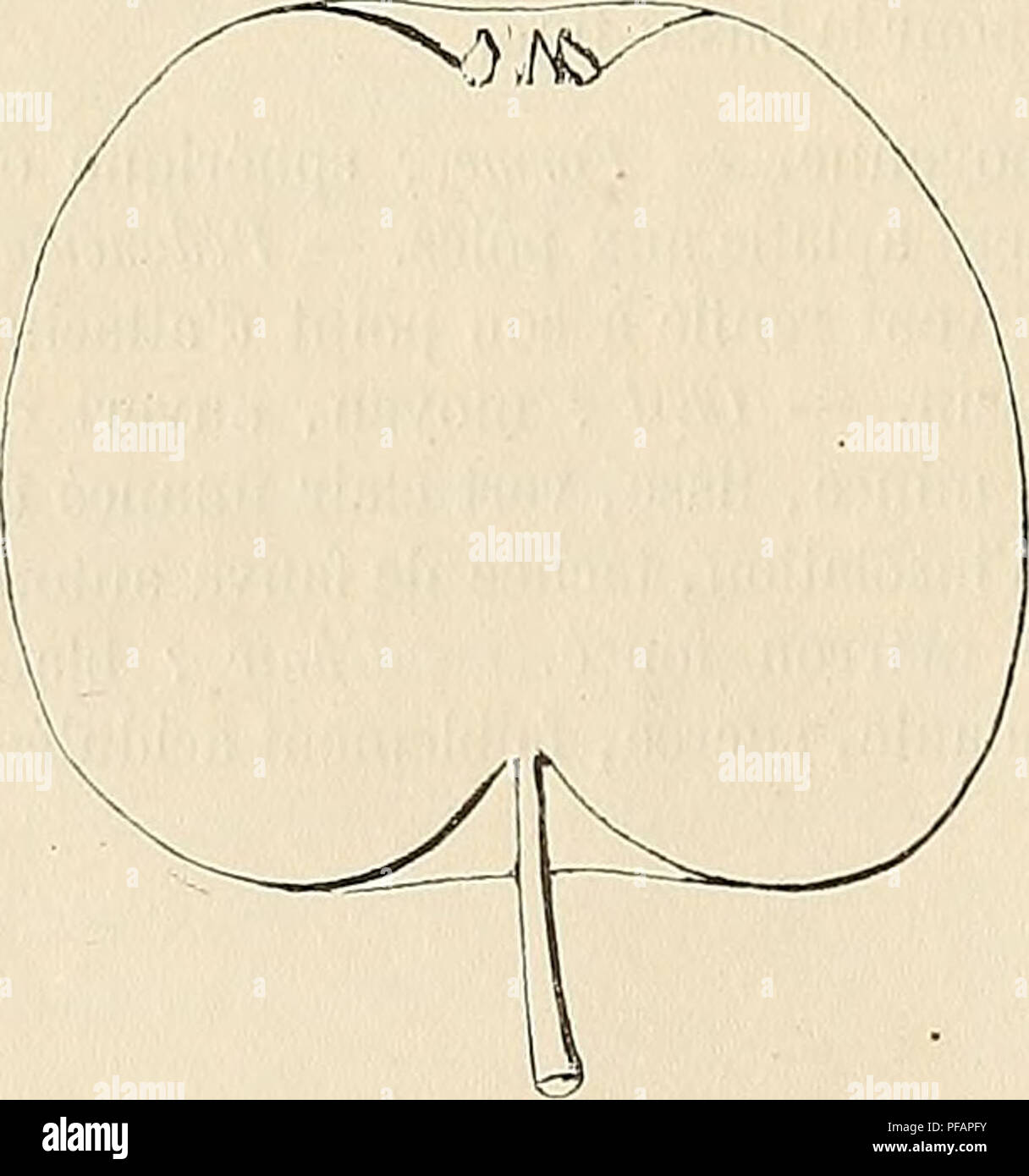 A dictionary of pomology focusing on the history and description of ...