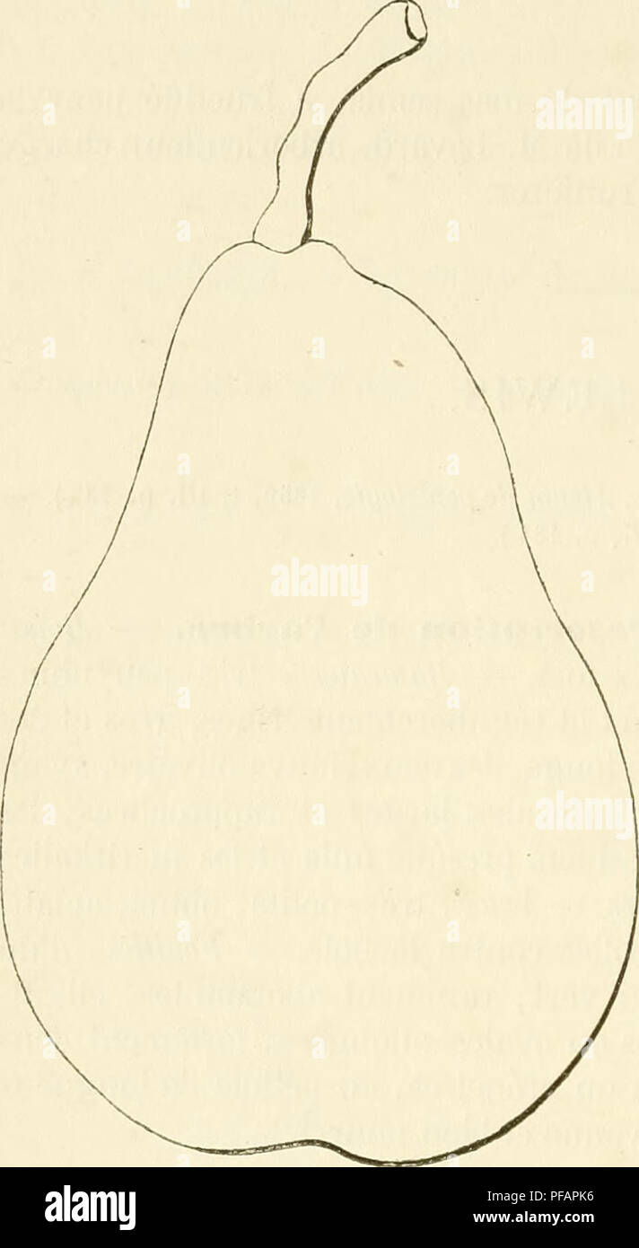 This dictionary of pomology provides historical and descriptive ...