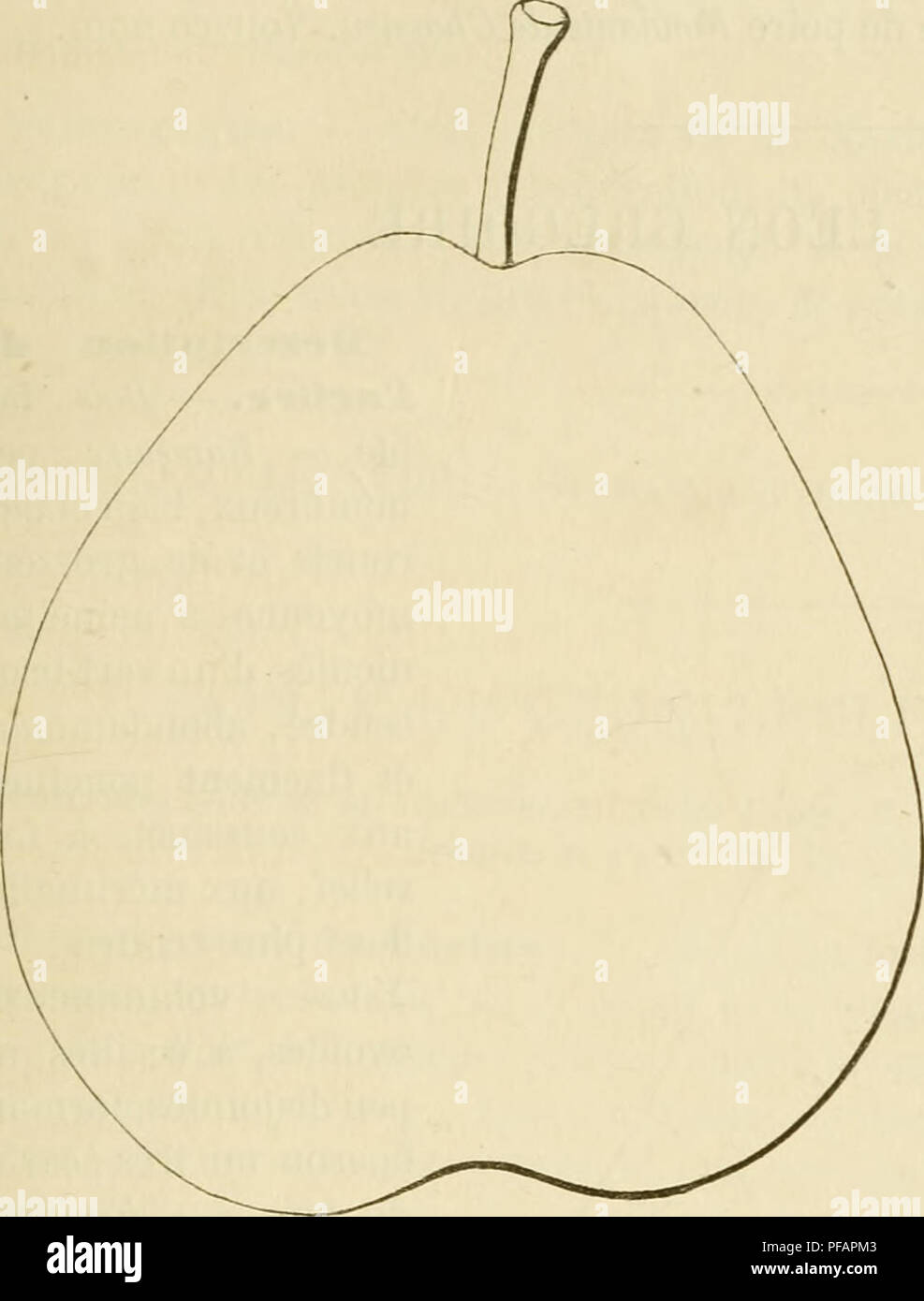 This dictionary of pomology covers the history, description, and ...