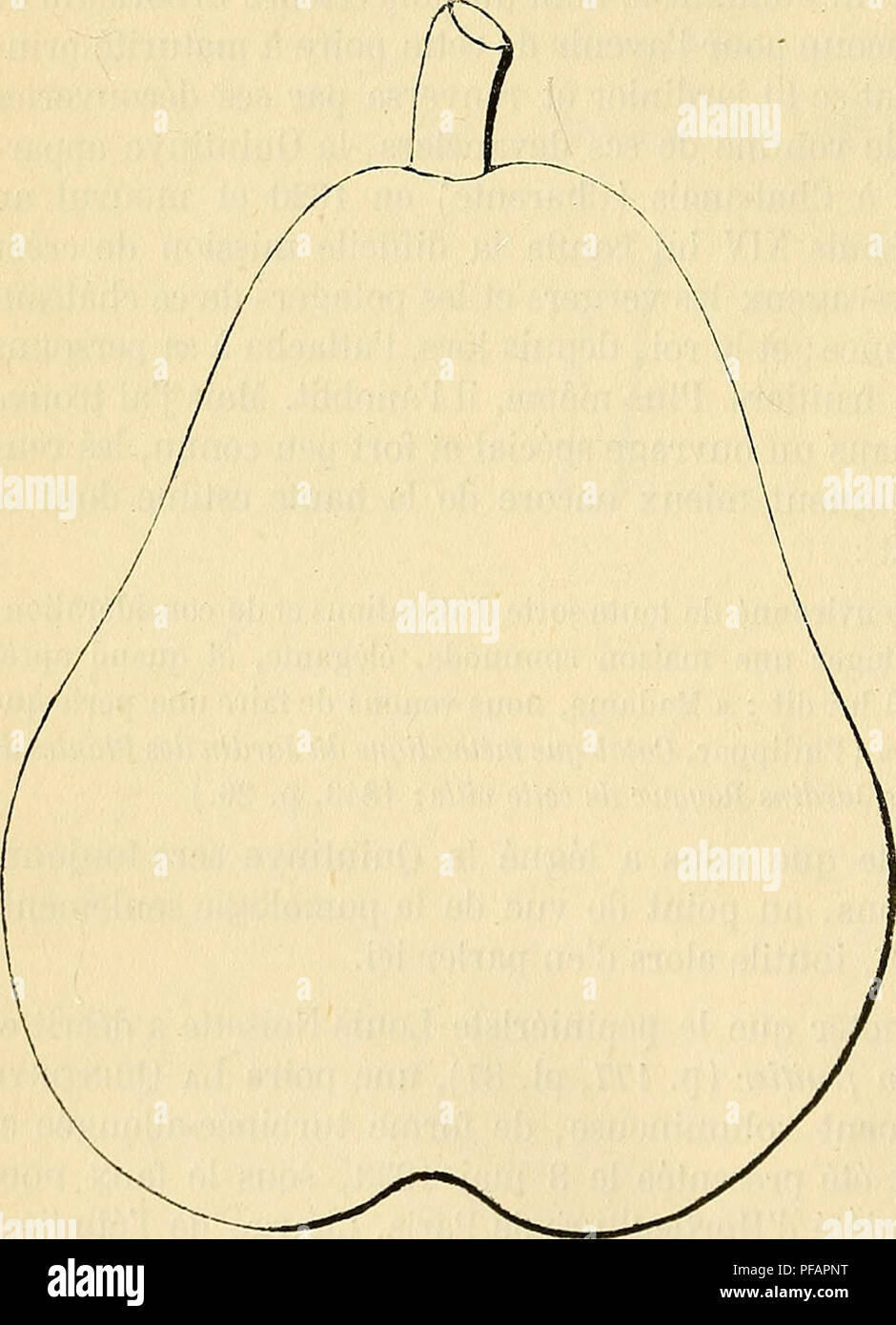 A reference guide to the history, description, and illustration of ...