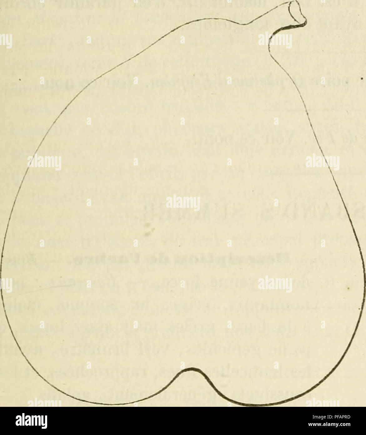 This dictionary of pomology provides a detailed account of both ancient ...