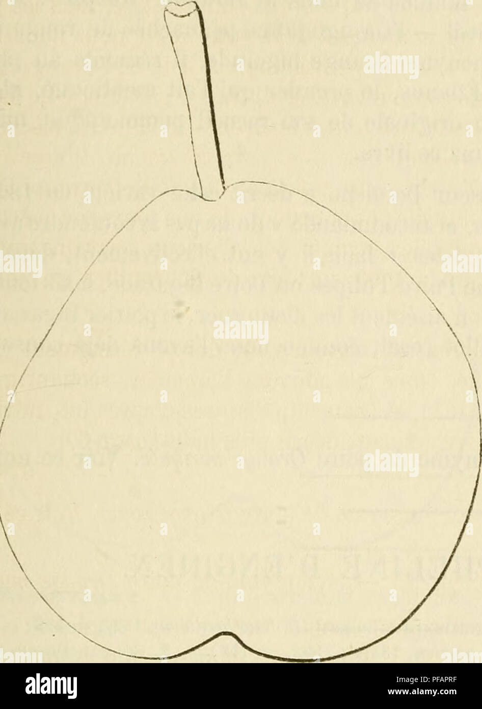 This work offers a detailed description and history of various fruits ...