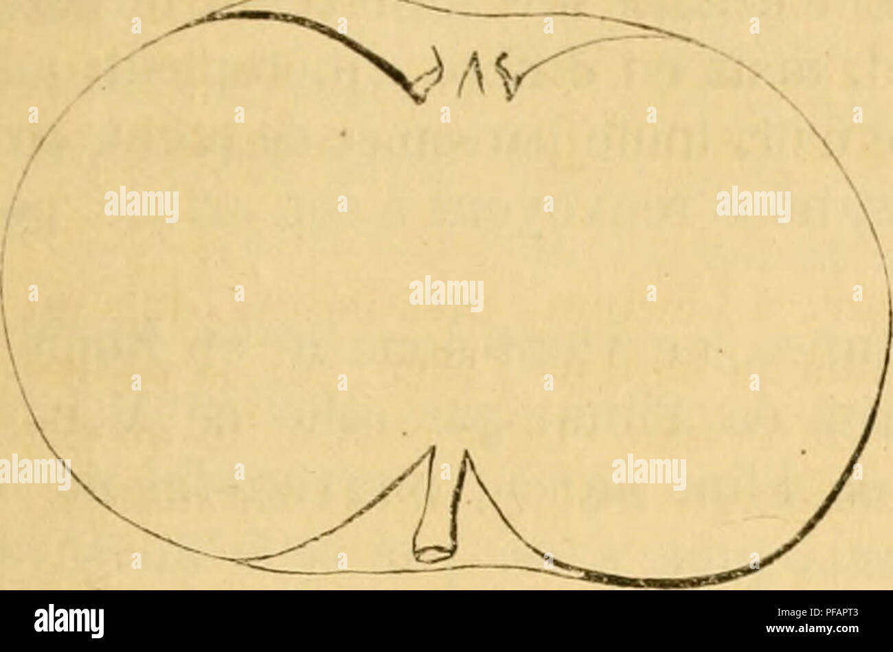 Petit verger hi-res stock photography and images - Alamy