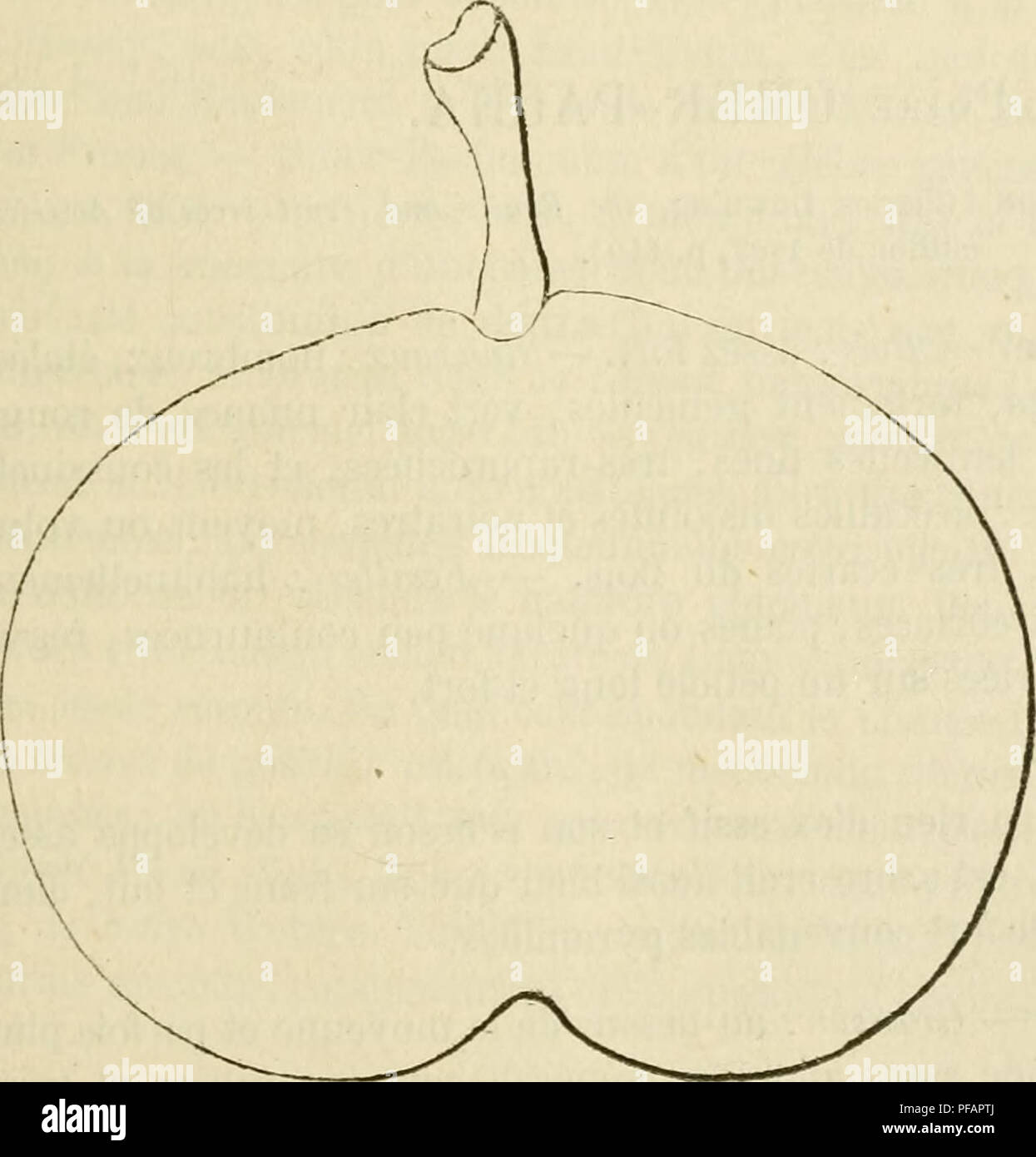 Crivain hi-res stock photography and images - Alamy