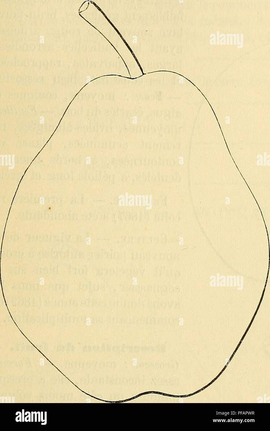 This dictionary of pomology provides detailed descriptions and ...