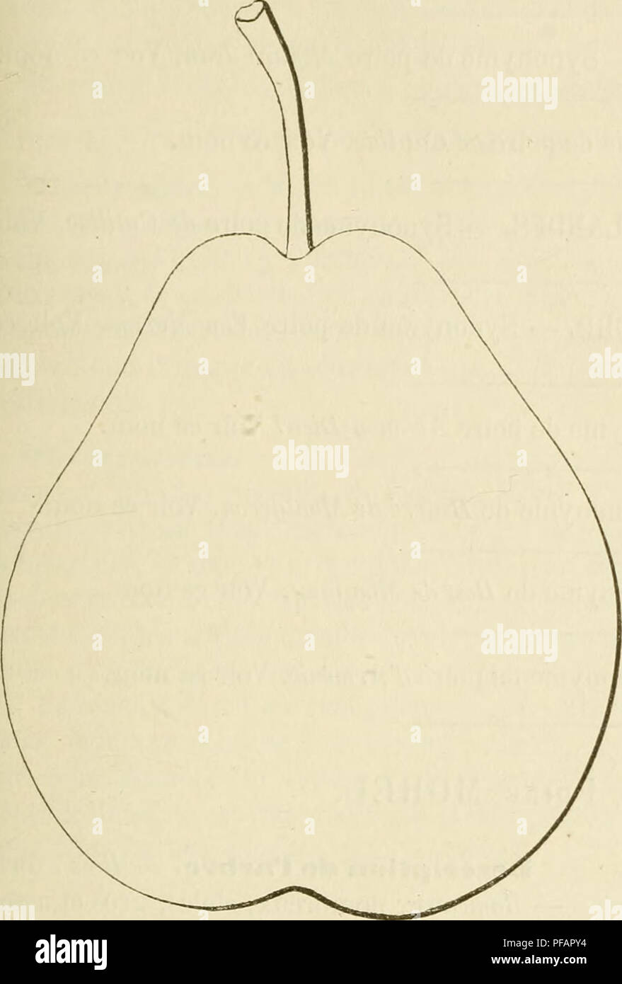 This dictionary of pomology provides detailed descriptions of both ...