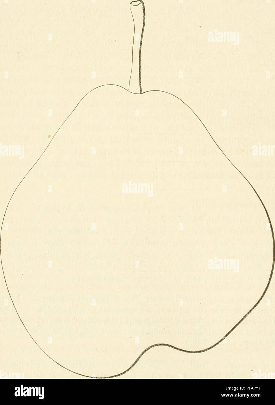 This dictionary of pomology provides descriptions and illustrations of ...