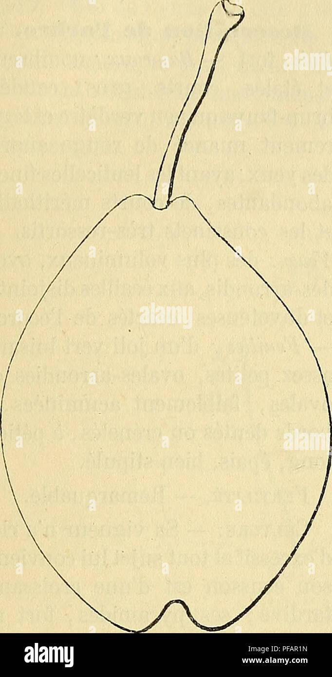 This dictionary provides detailed descriptions, history, and ...