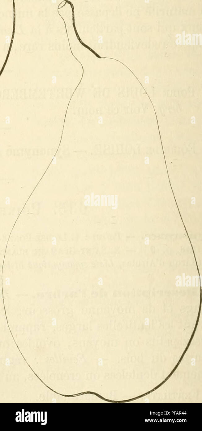 This work is a comprehensive dictionary of pomology, covering both ...