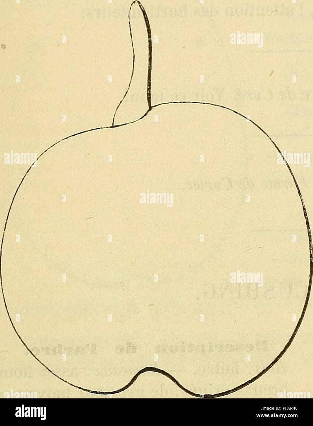 This pomology dictionary provides a detailed description of both modern ...