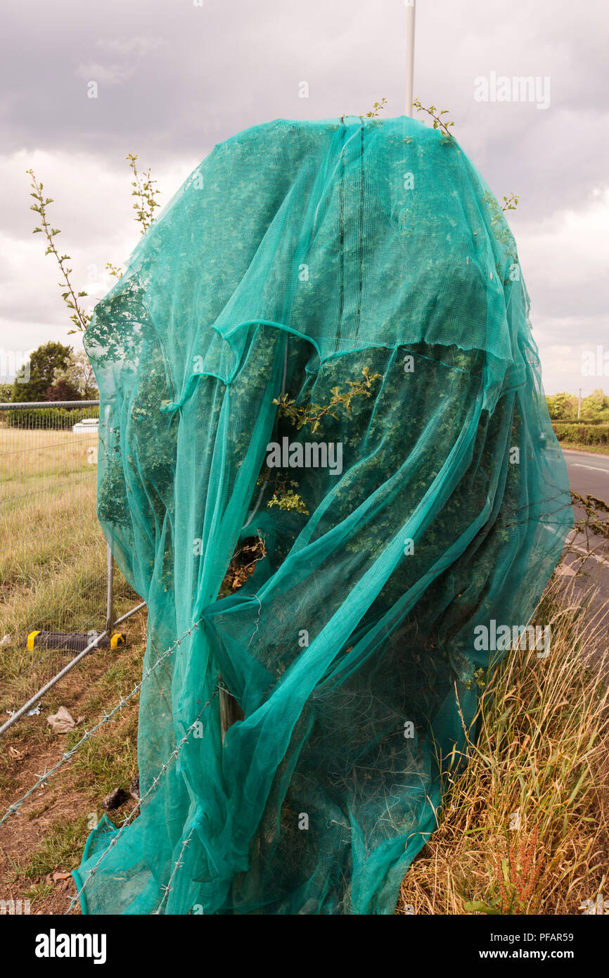 Plastic netting hi-res stock photography and images - Alamy
