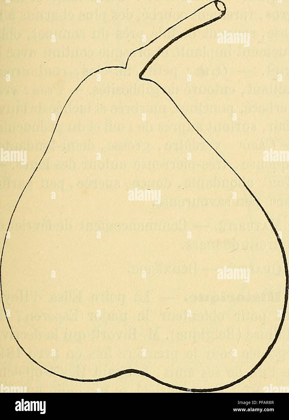 This image from 'Dictionnaire de Pomologie' shows the description of ...