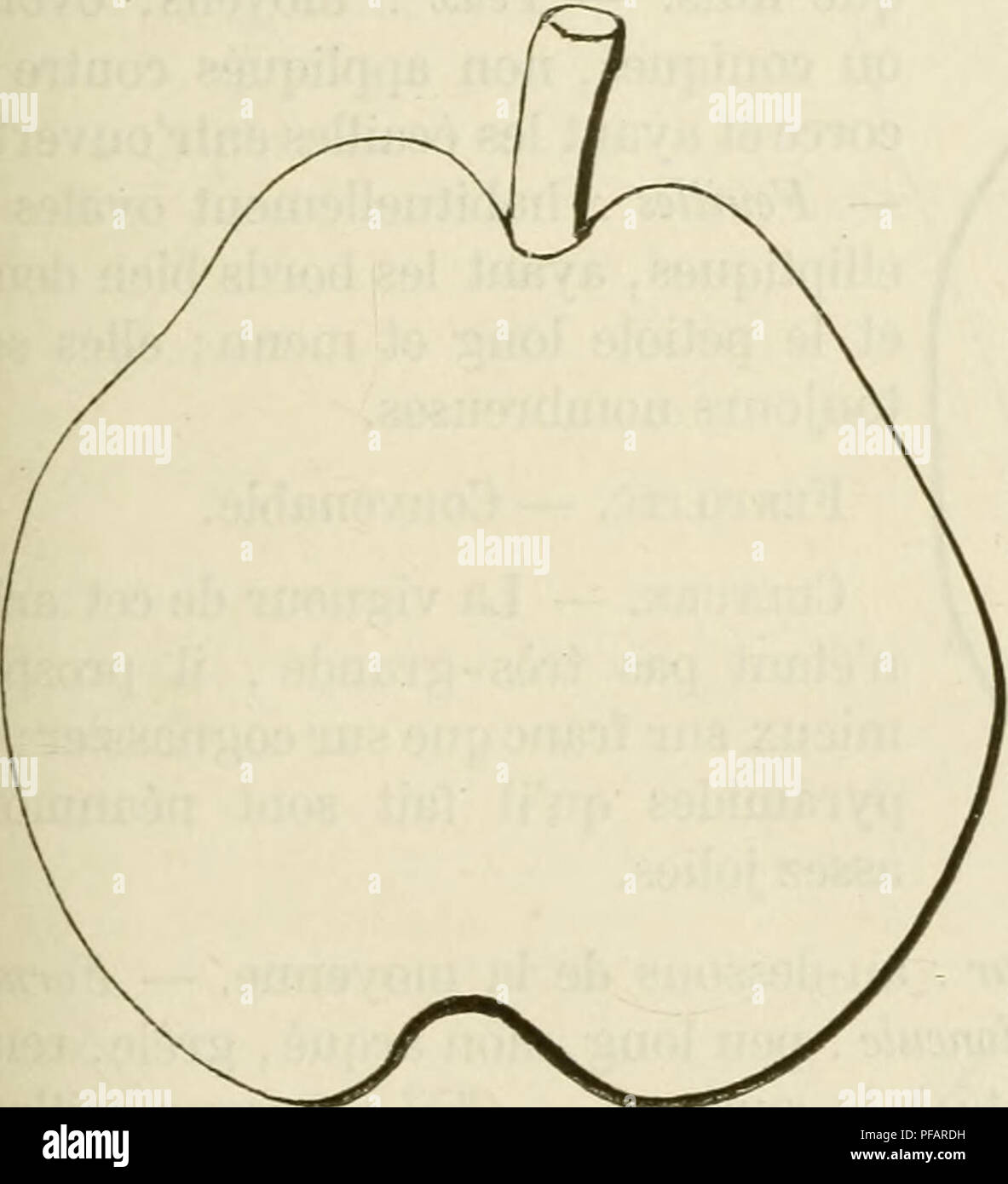This image from 'Dictionnaire de Pomologie' illustrates the history and ...