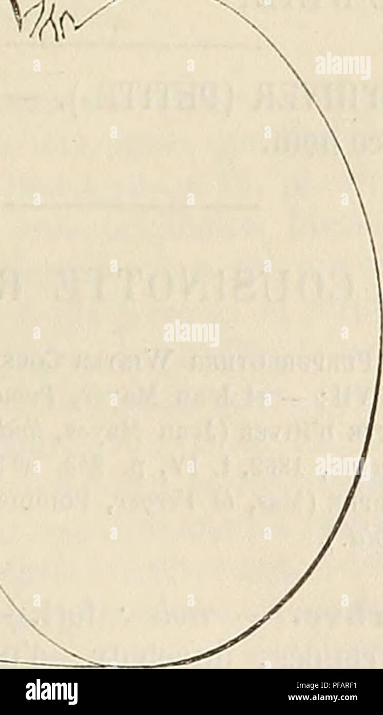 George steuart mackenzie hi-res stock photography and images - Alamy