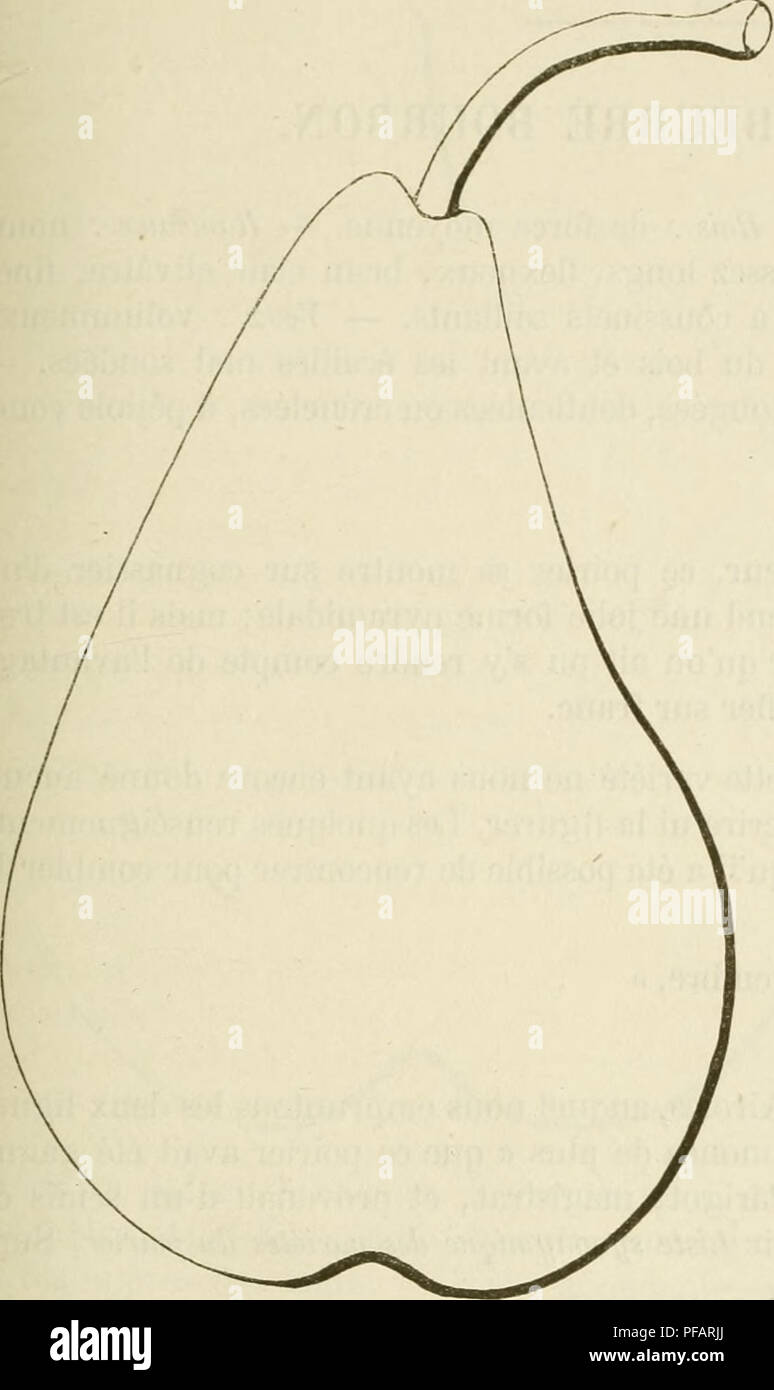 This *Dictionnaire de Pomologie* entry describes the *Poire Beurré Bosc ...