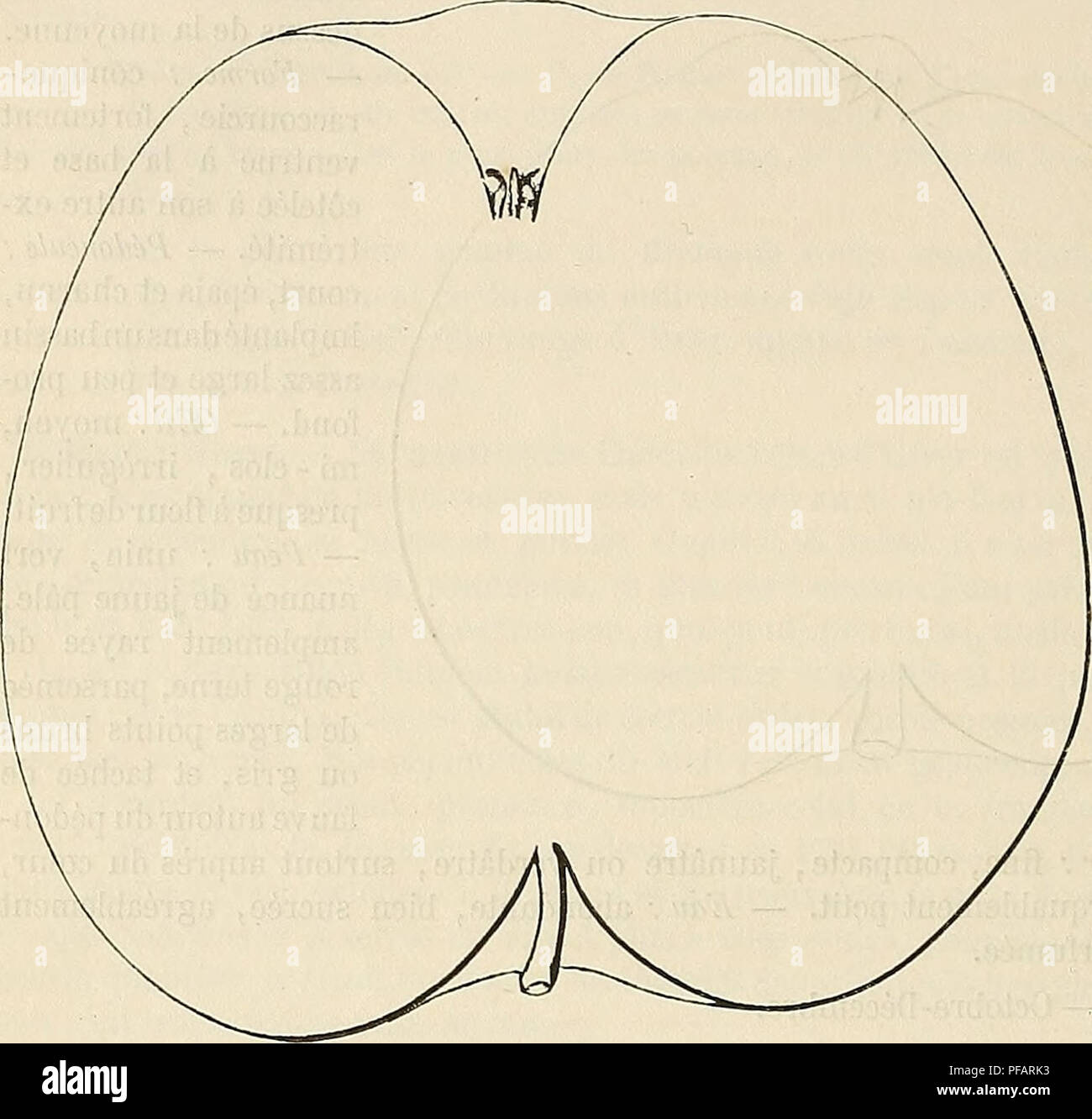 A detailed dictionary of pomology, describing the history ...