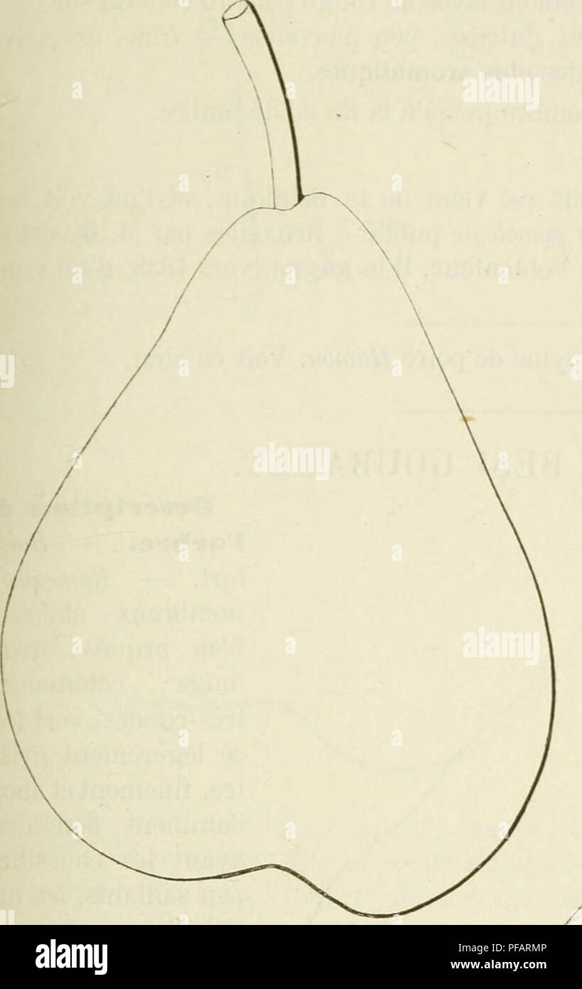 This section of the pomological dictionary describes the Besi Esperen ...