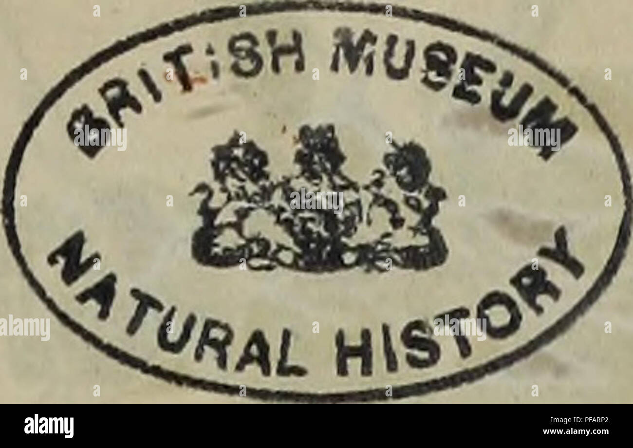 This dictionary presents a comprehensive and picturesque overview of ...