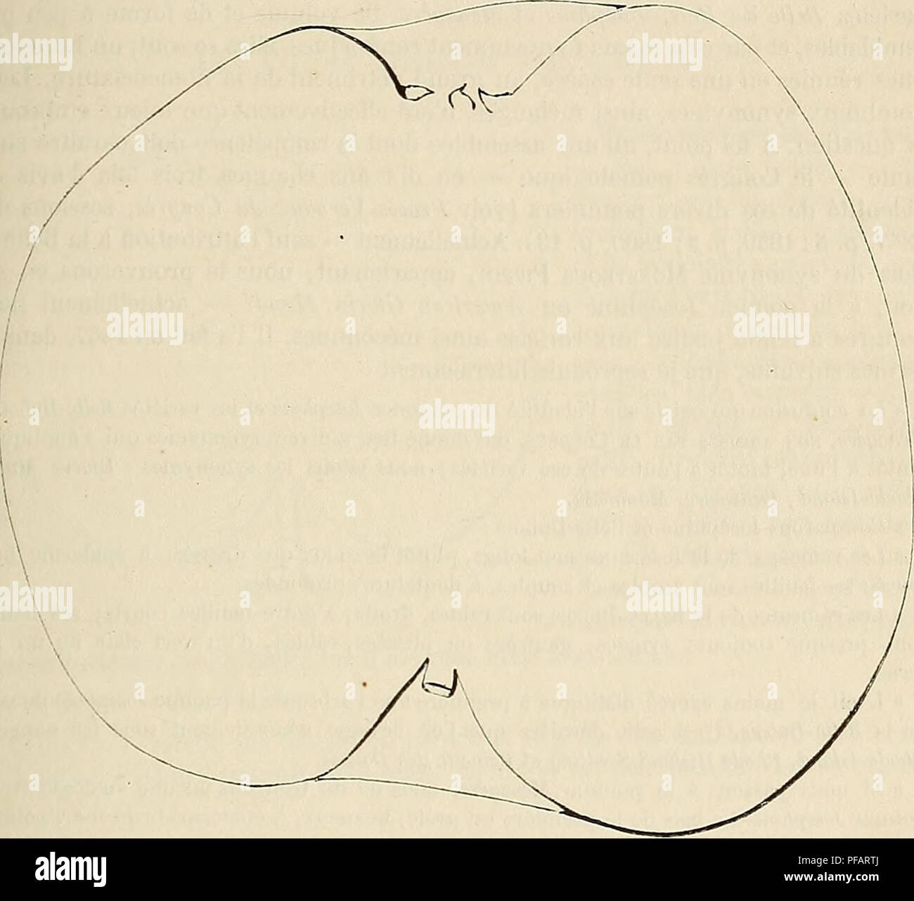 This dictionary of pomology offers detailed descriptions and ...