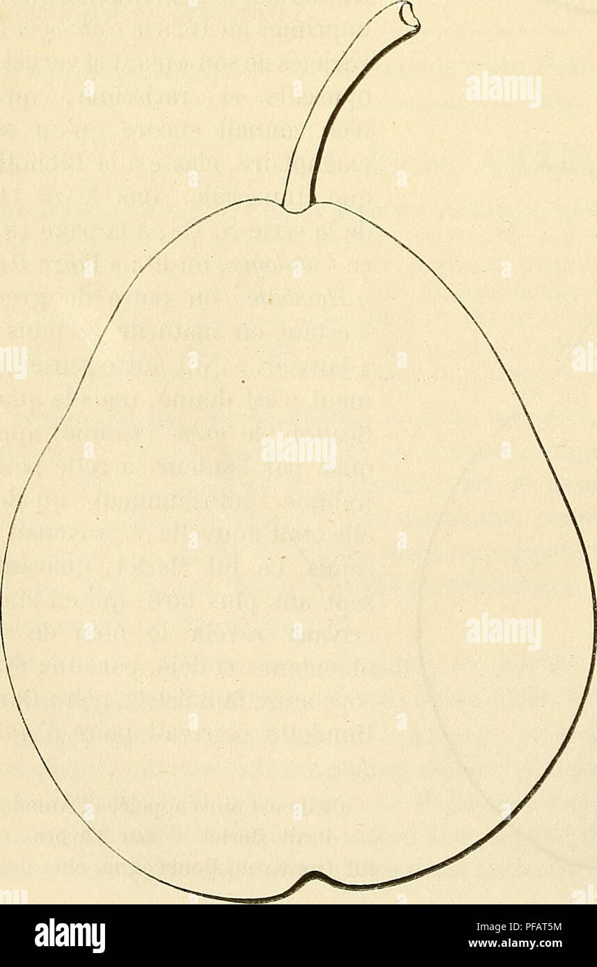 This French pomology dictionary provides a detailed description of ...