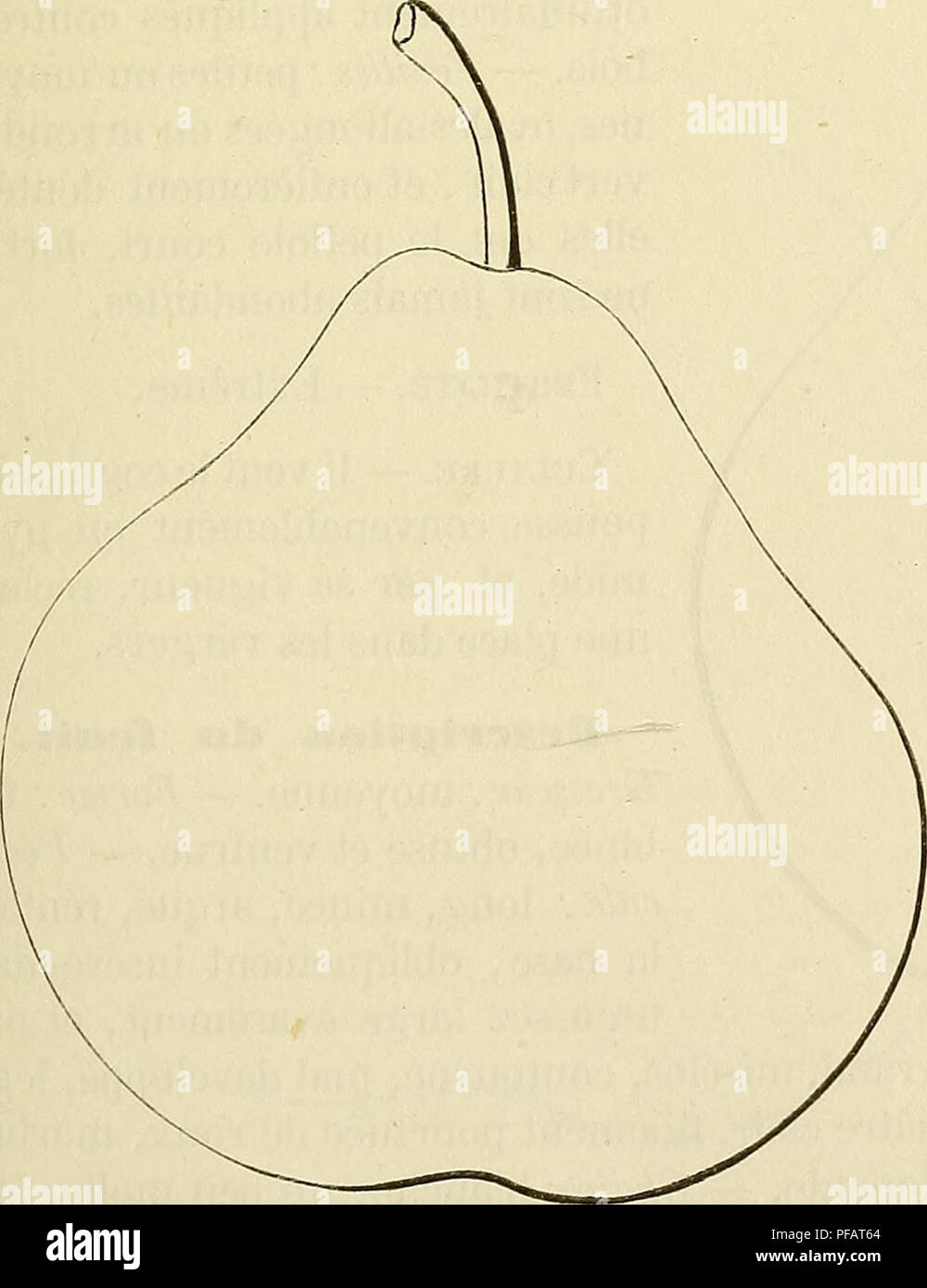 This dictionary of pomology describes various fruit trees, providing ...