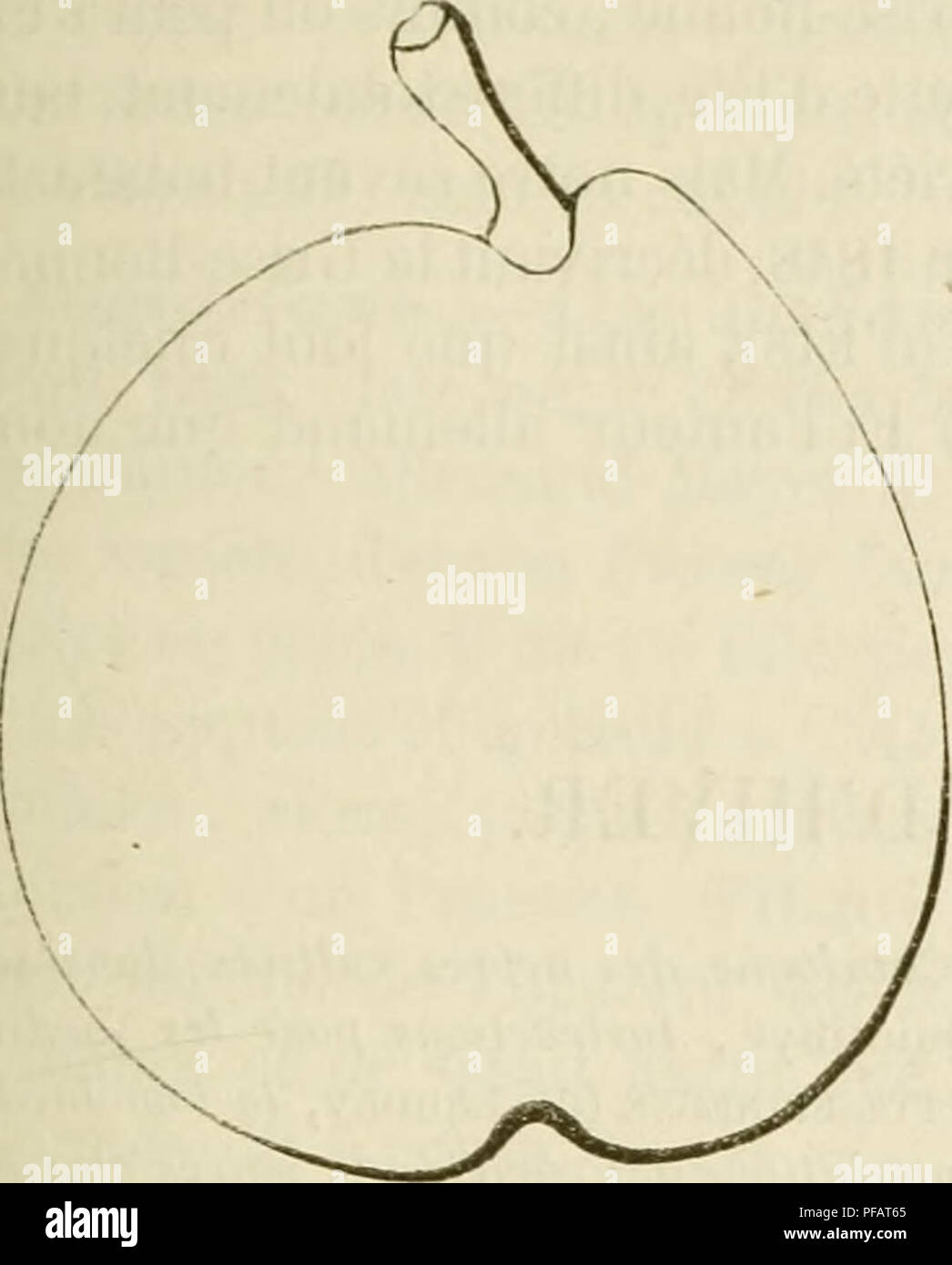 This dictionary of pomology provides a comprehensive guide to the ...