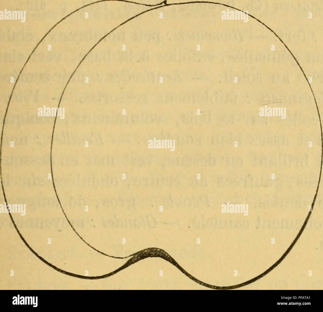 This pomology dictionary provides descriptions, histories, and ...