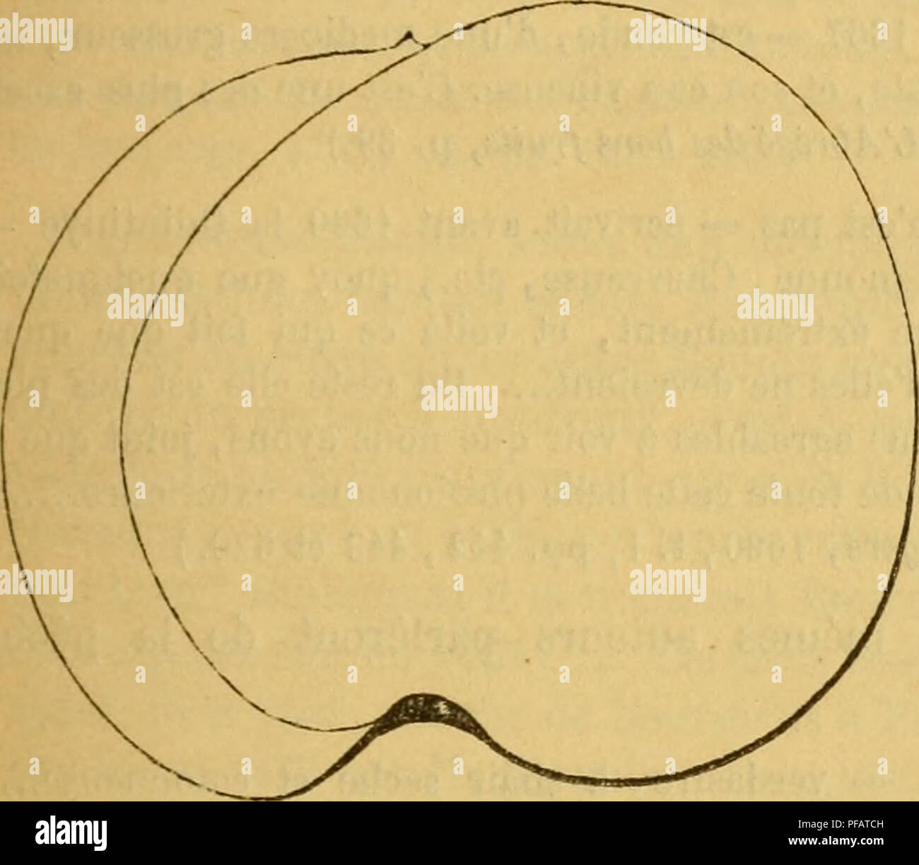 This French-language dictionary of pomology includes historical and ...