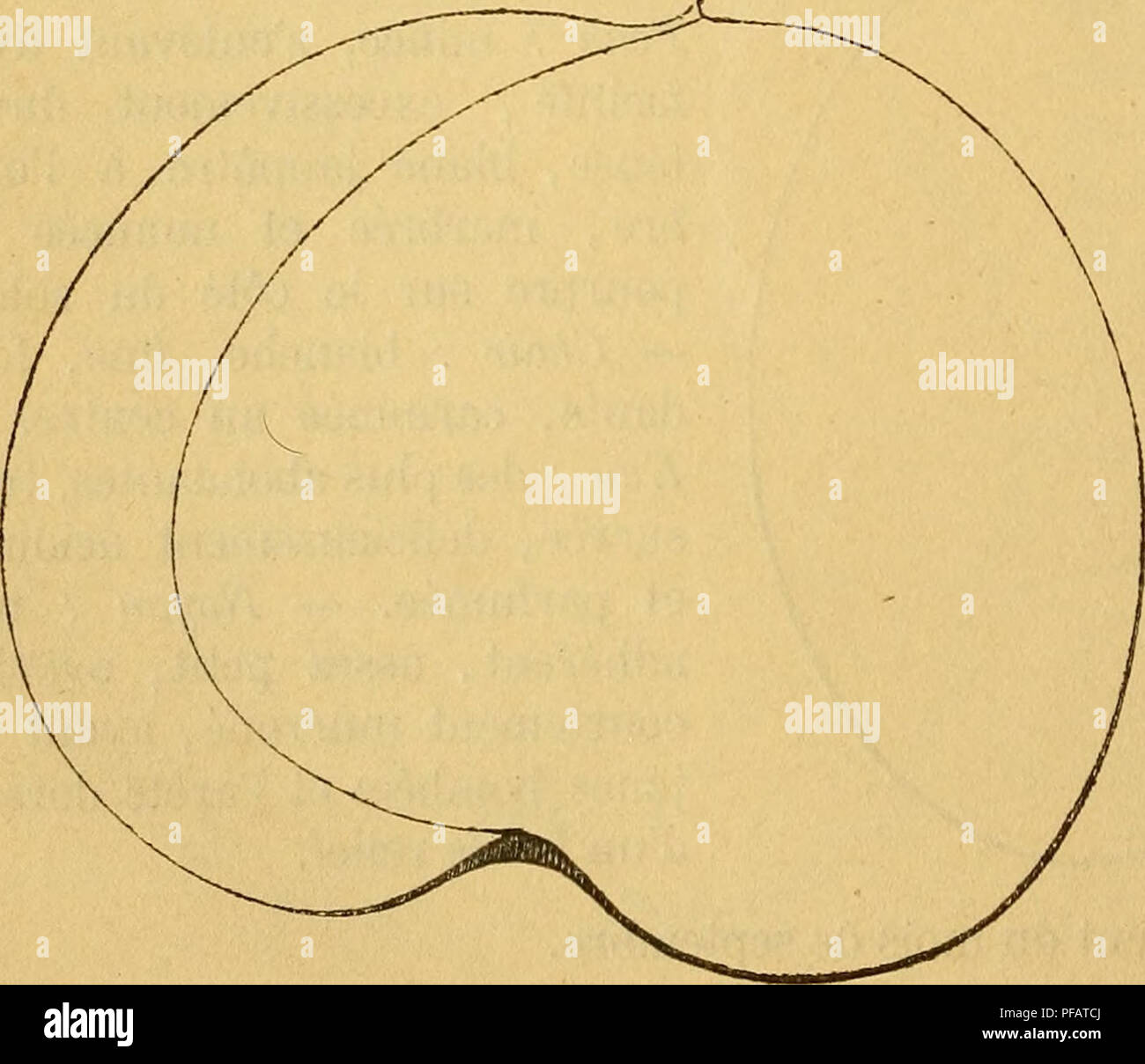 A comprehensive dictionary of pomology, covering the history ...