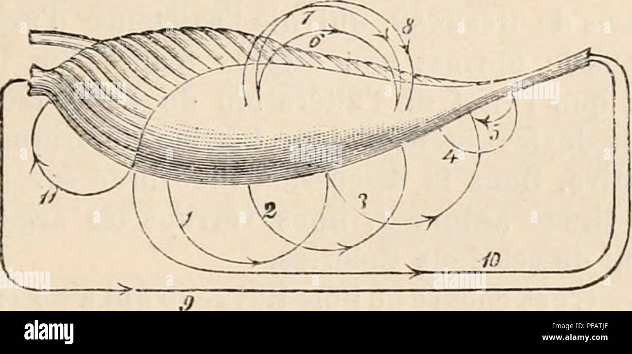 This physiology dictionary provides detailed information on electrical ...