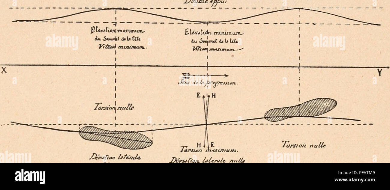 A detailed scientific entry from the 'Dictionnaire de physiologie ...