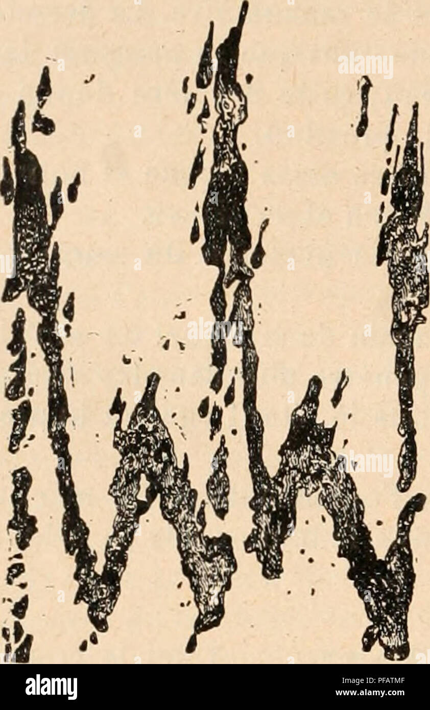 This physiology dictionary explains various methods used in ...