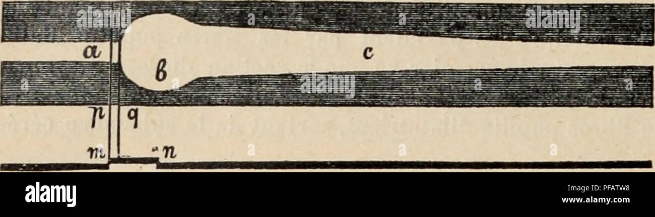 This dictionary of physiology provides a detailed explanation of ...