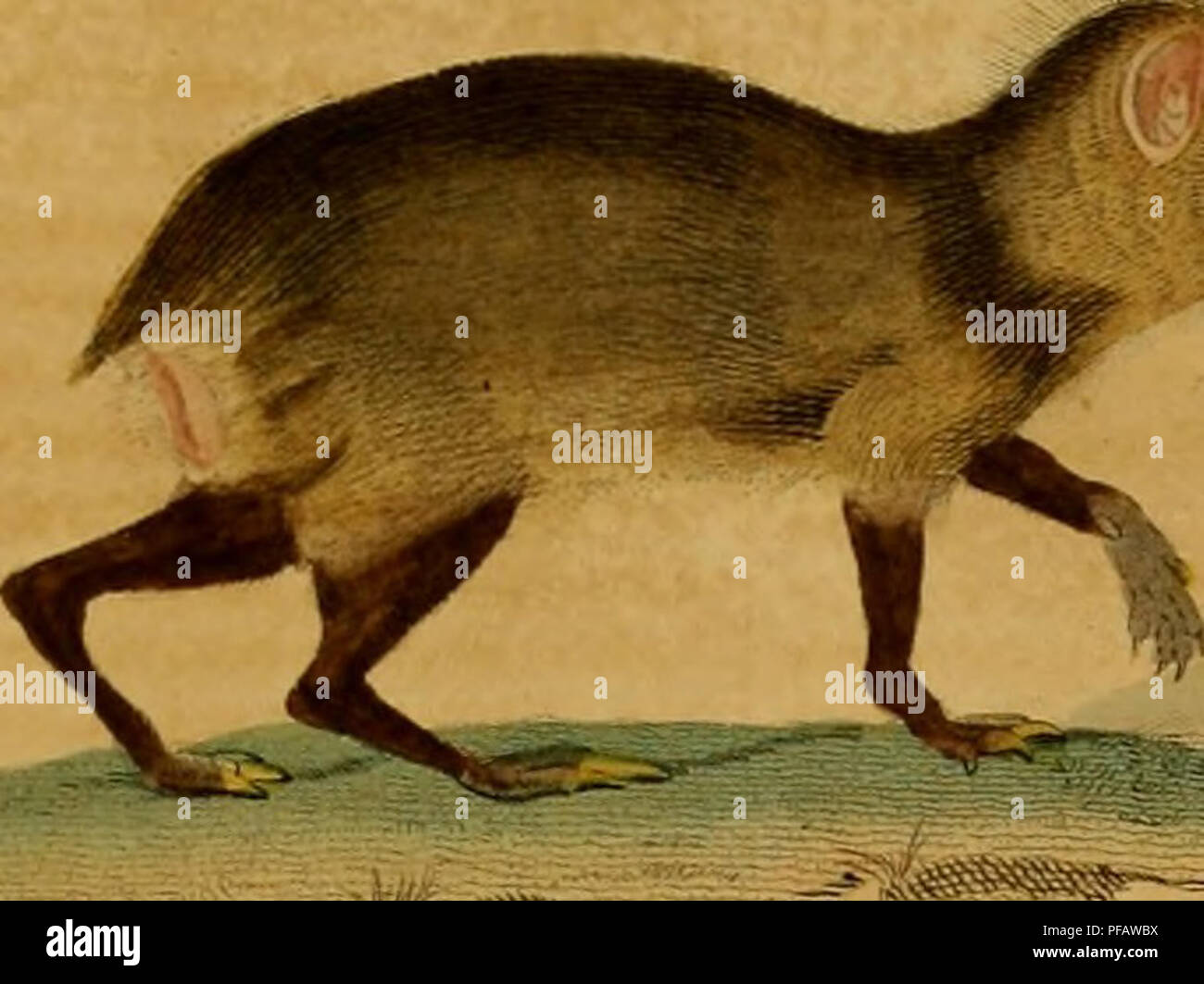 Et stat hi-res stock photography and images - Alamy