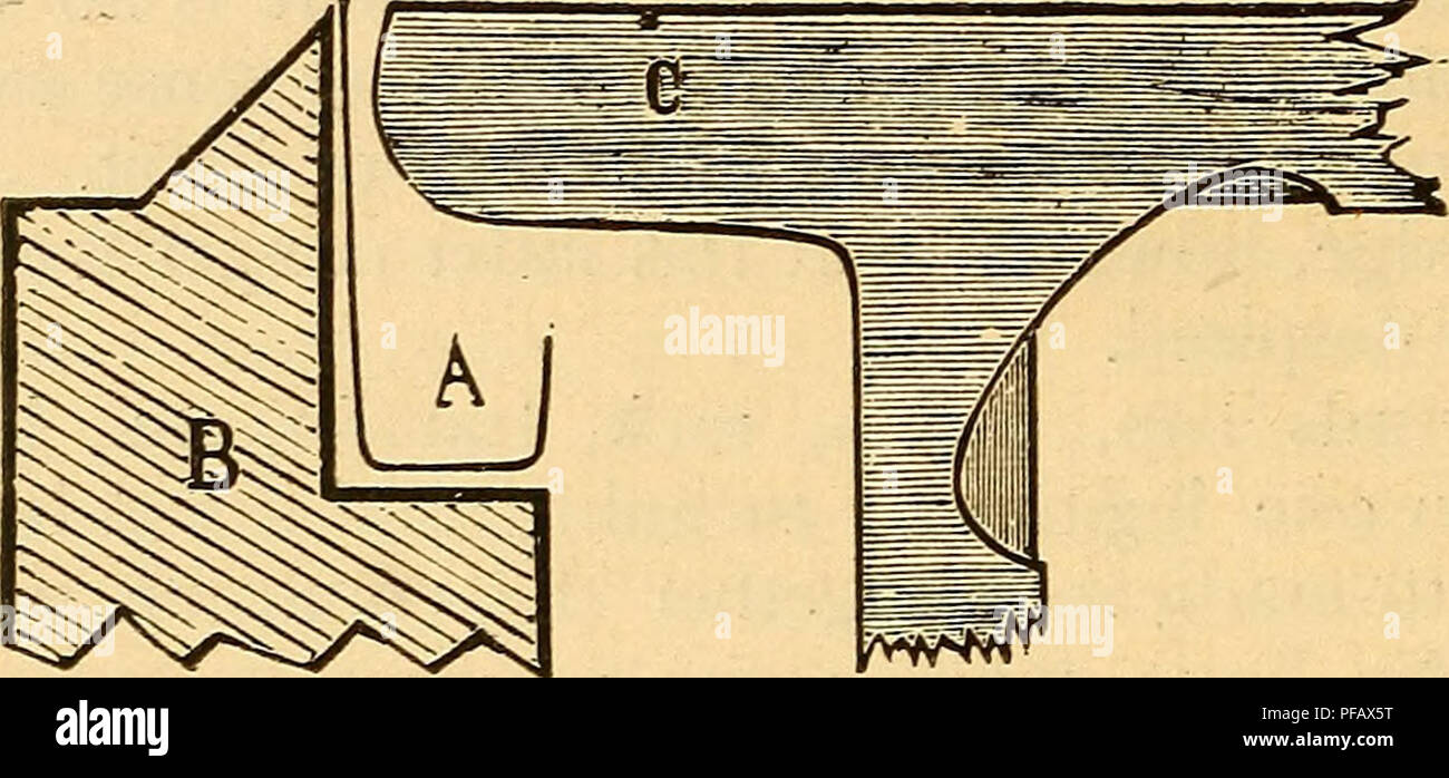 This dictionary provides practical guidance on beekeeping, with an ...