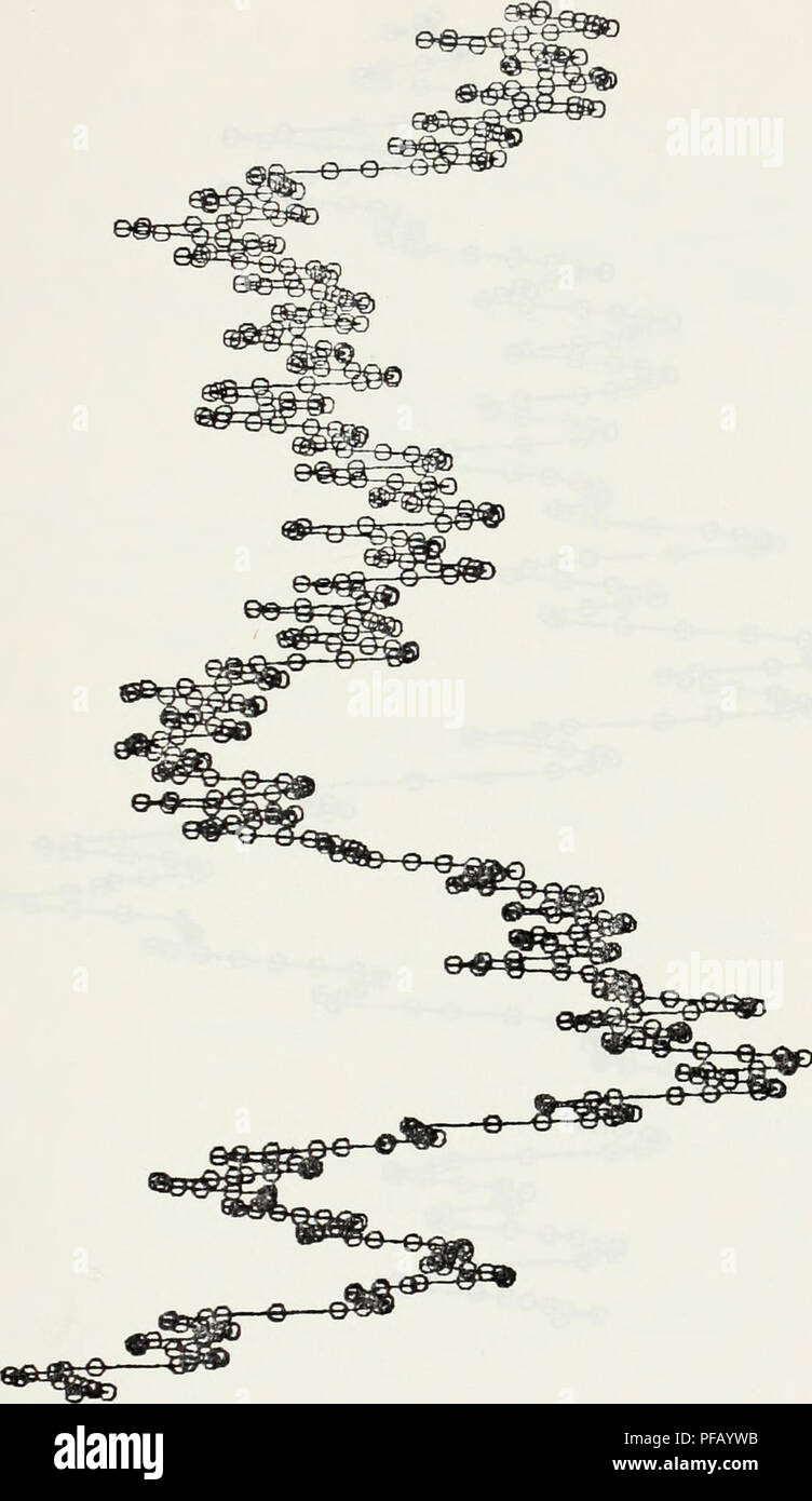 This study analyzes land elevation changes using tidal data, focusing ...