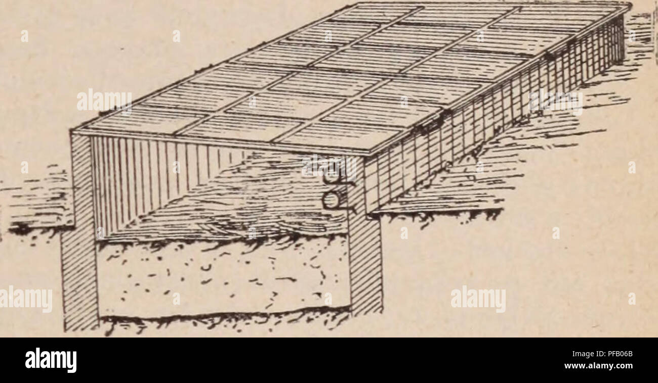 Trilocular hi-res stock photography and images - Alamy
