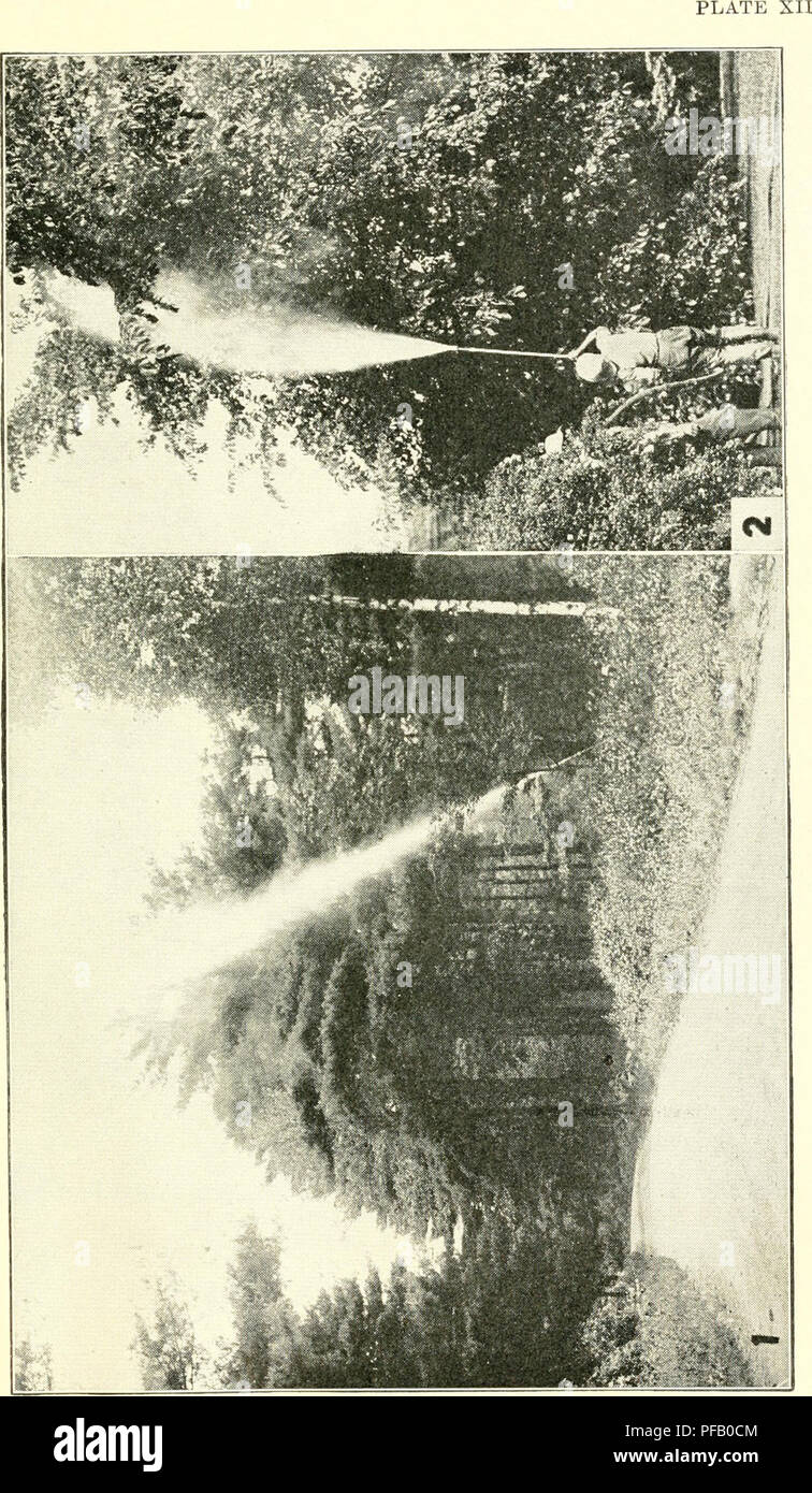 This study examines the impact of destructive insects on Ohio's shade ...