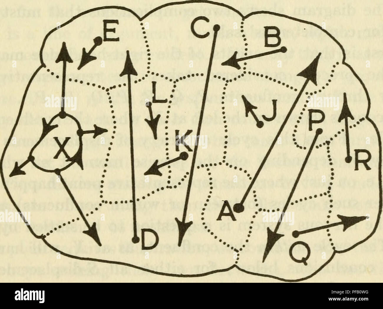 Adaptive cycle hi-res stock photography and images - Alamy