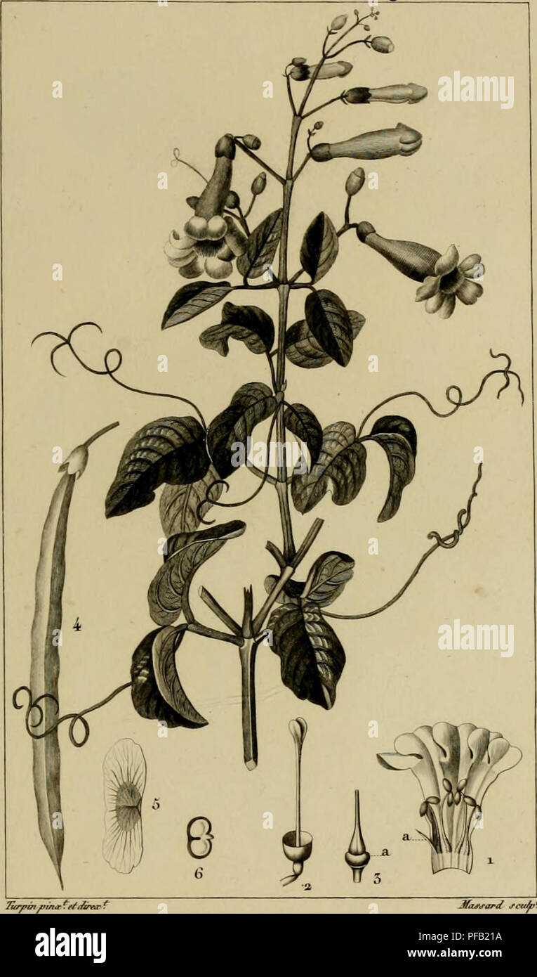 This French dictionary of natural sciences covers various aspects of ...