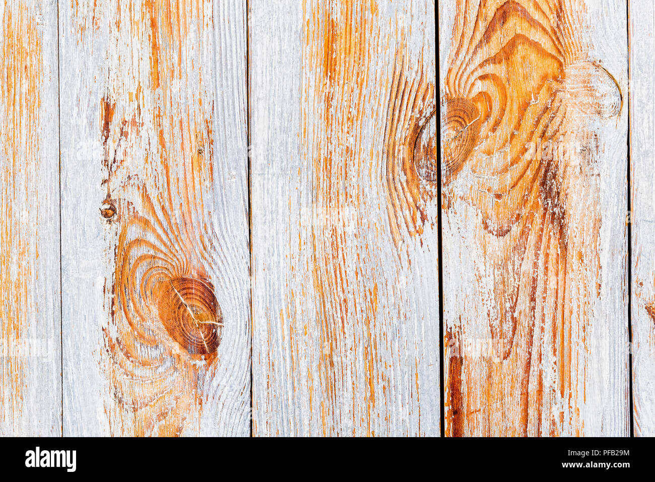 Background of shabby wooden natural boards with white and grey peeling ...