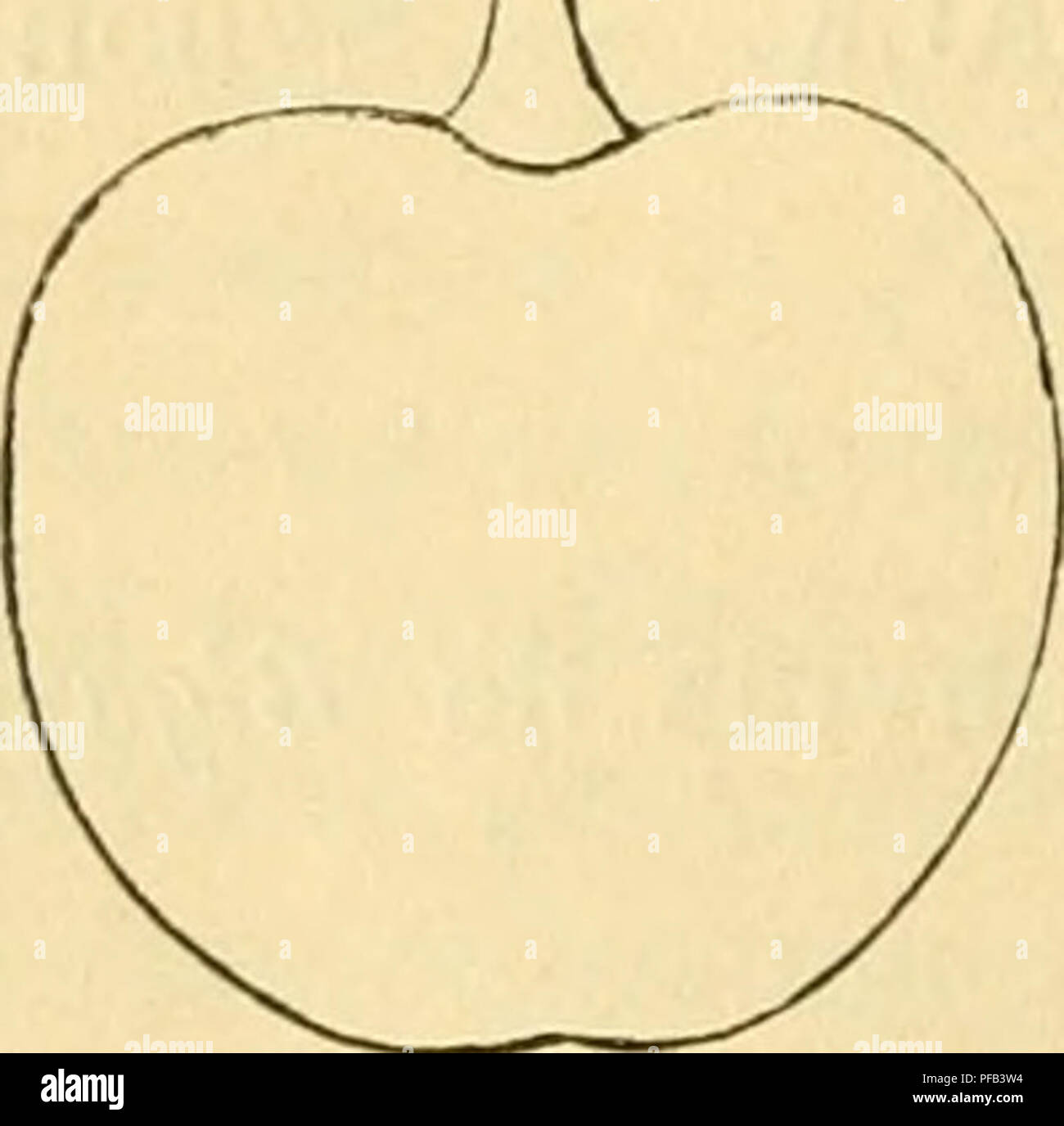 This dictionary of pomology includes detailed histories, descriptions ...