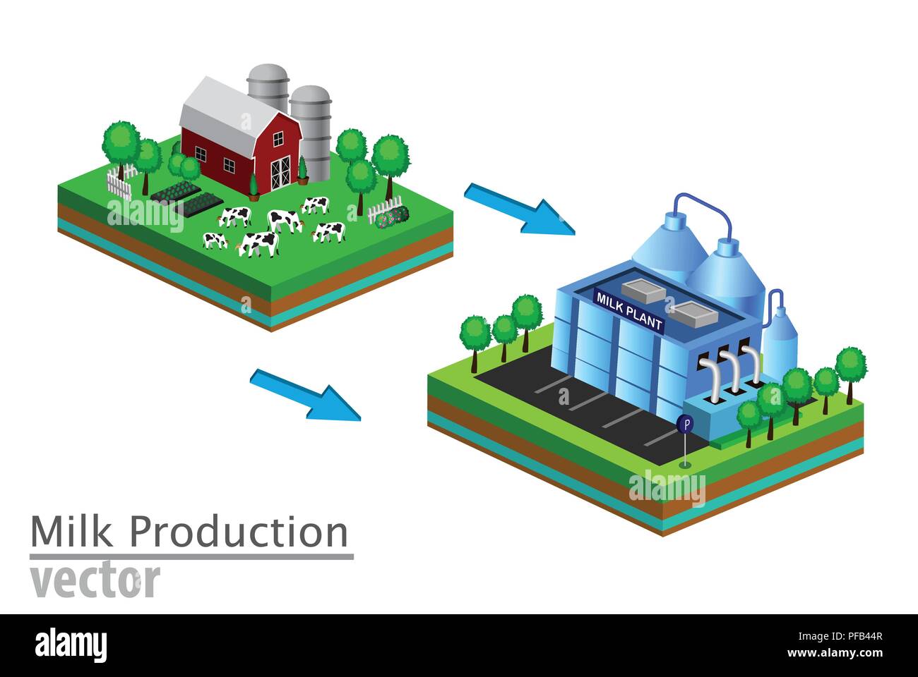 Dairy product delivery stages milk can processing Stock Vector Image & Art - Alamy
