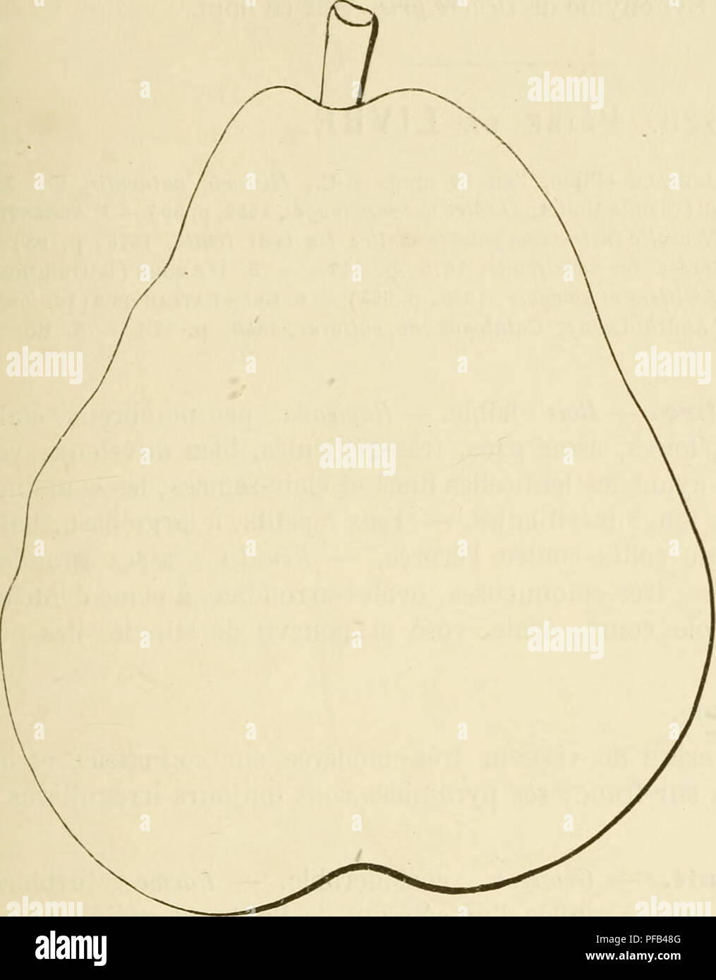 This dictionary focuses on the history, description, and illustration ...