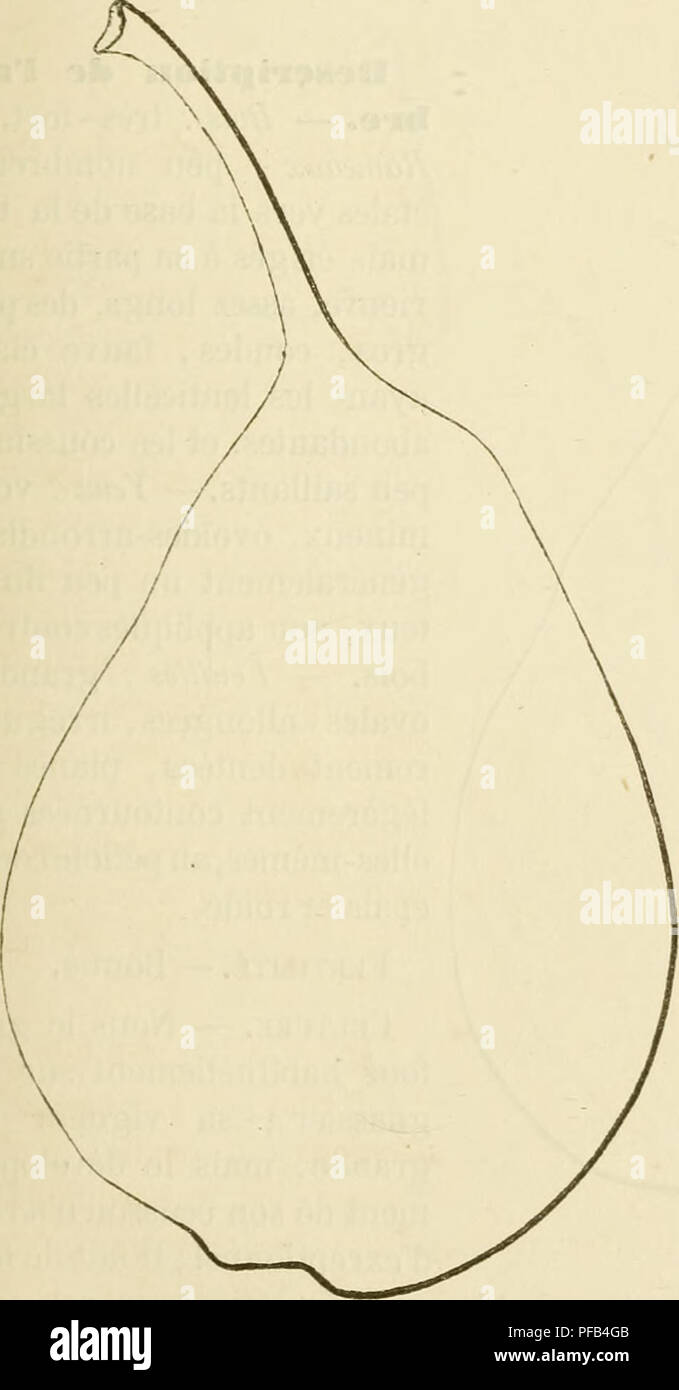 This dictionary provides detailed descriptions and illustrations of ...